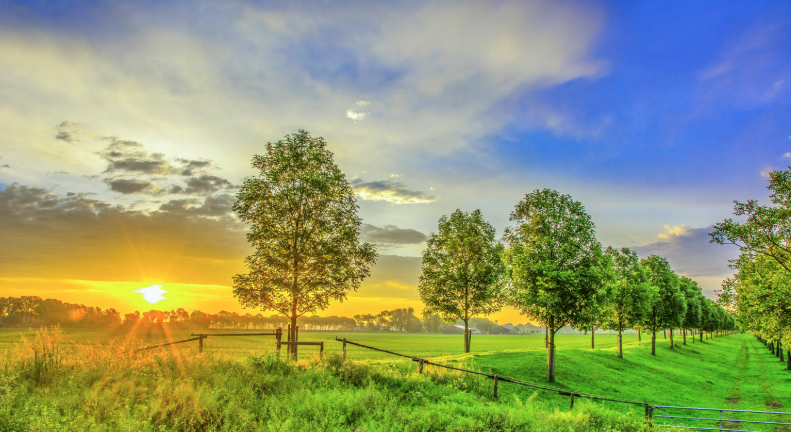 Funeral Notice for John David Brain