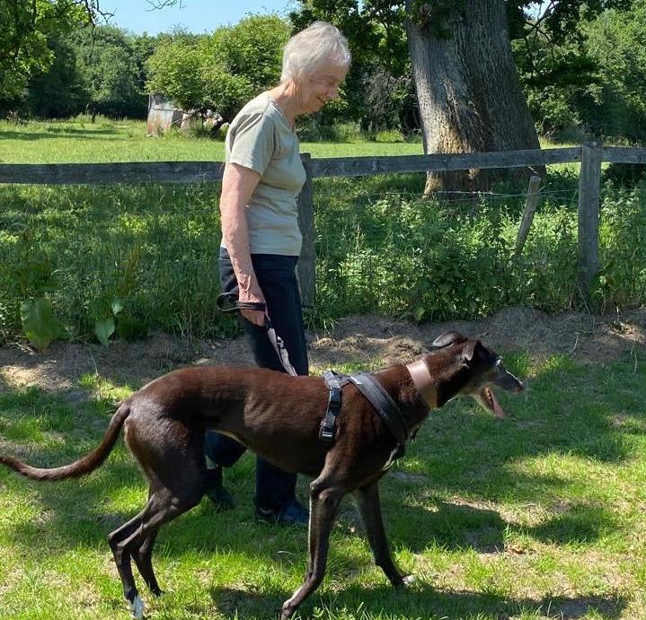 Funeral Notice for Mrs Carol Anne Mason